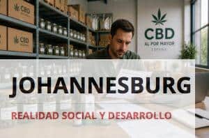 Proveedor de CBD al por mayor: guía para elegir